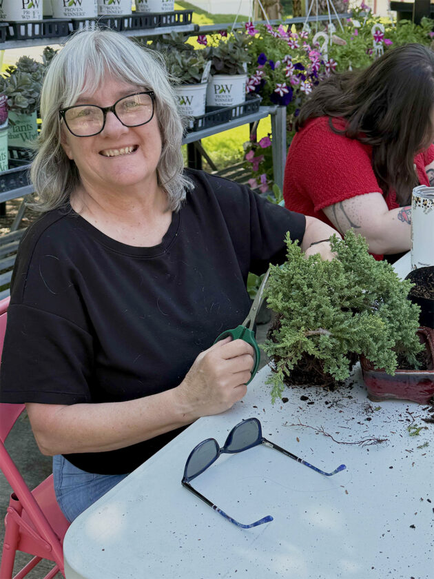 Ki No Kaze Bonsai Club hosts hands-on workshop at Scot’s Marketplace ...